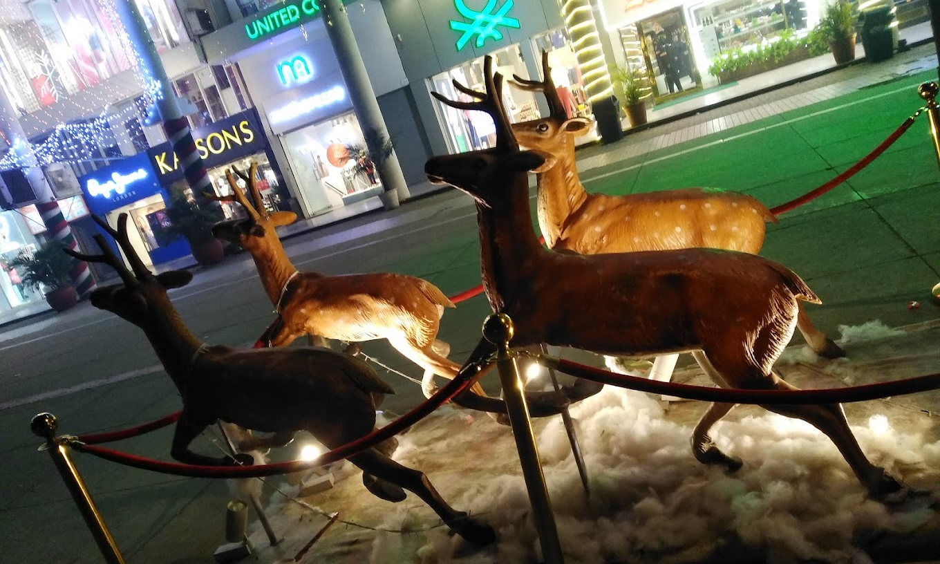 Sector 17 Market Chandigarh: Exploring The Heart Of The City’s Shopping ...