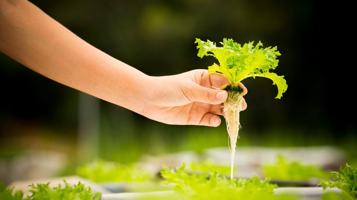 Farmer Registry: 7 Powerful Benefits For Farmers