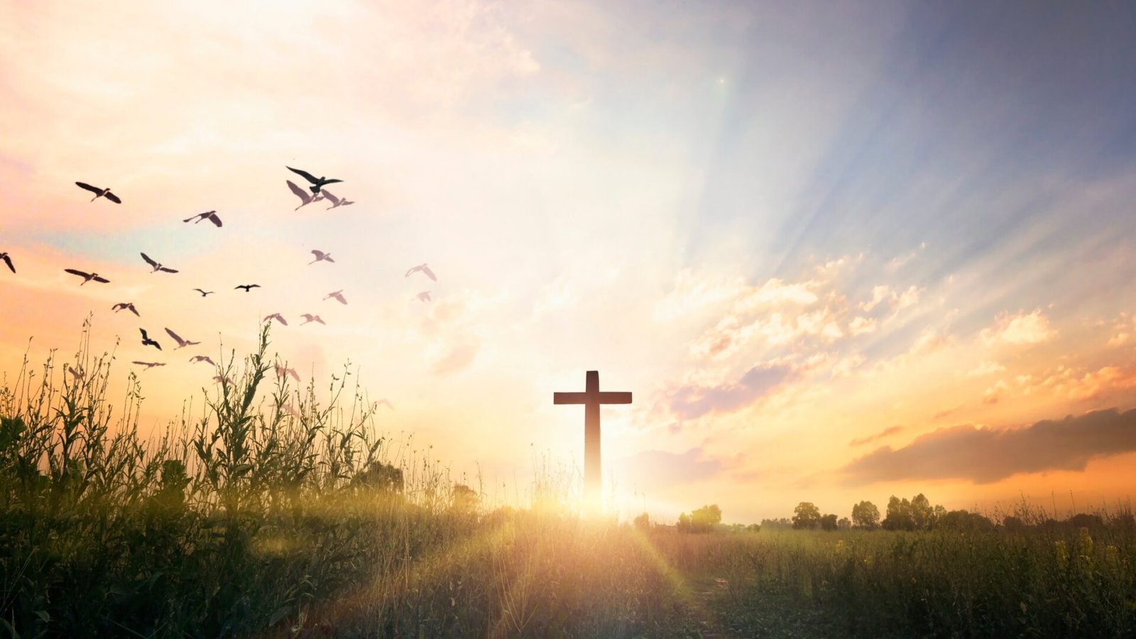 Good Friday 2025: 7 Powerful Insights To Reflect On