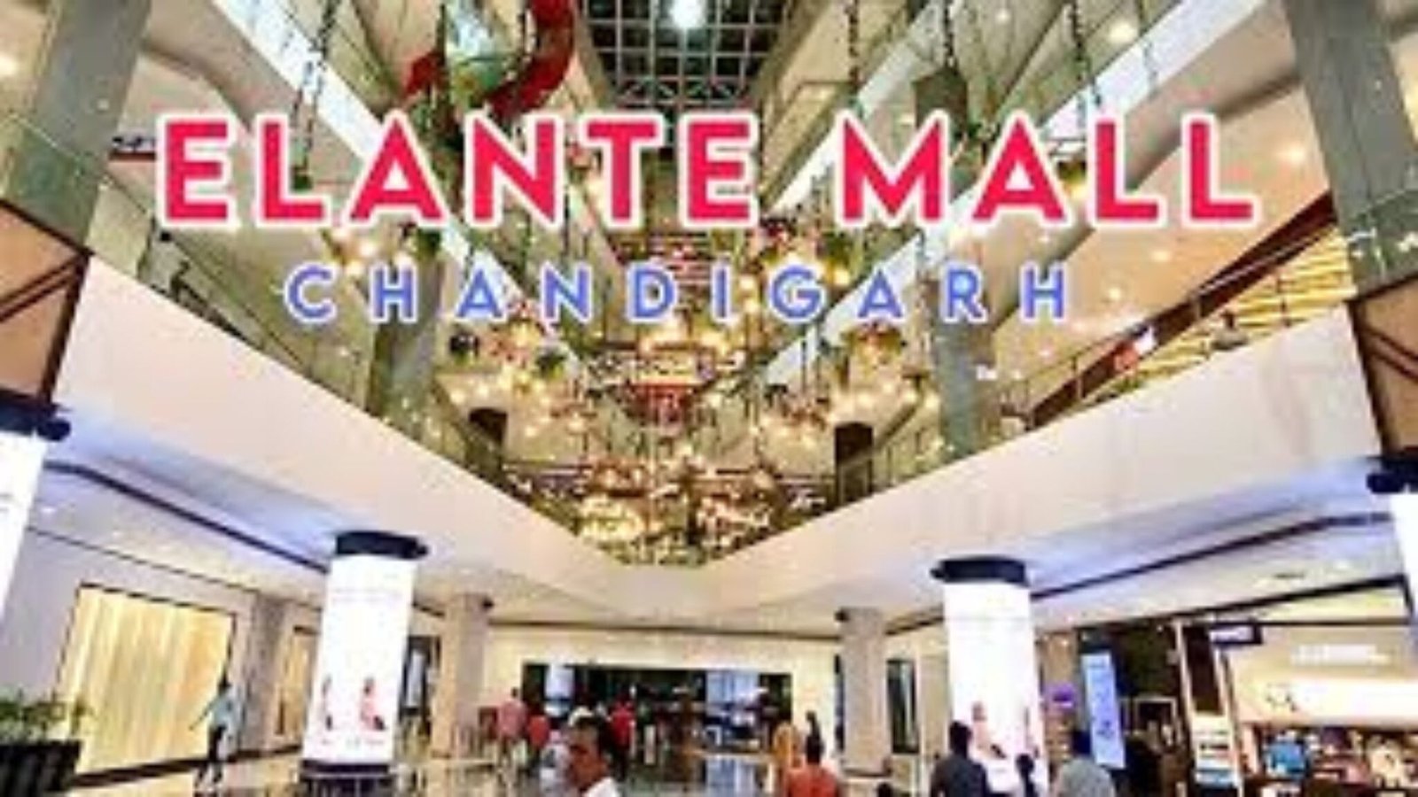 Elante Mall Chandigarh Sector: Shopping, Dining & Fun Guide