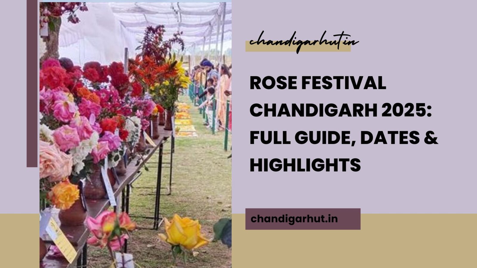 Rose Festival Chandigarh 2025: Full Guide, Dates