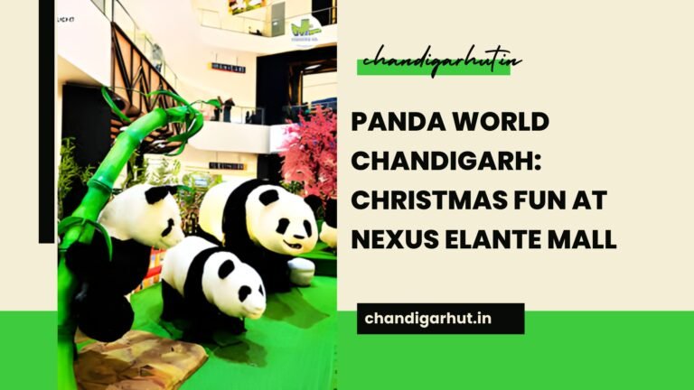 Panda World Chandigarh: Christmas Fun At Nexus Elante Mall