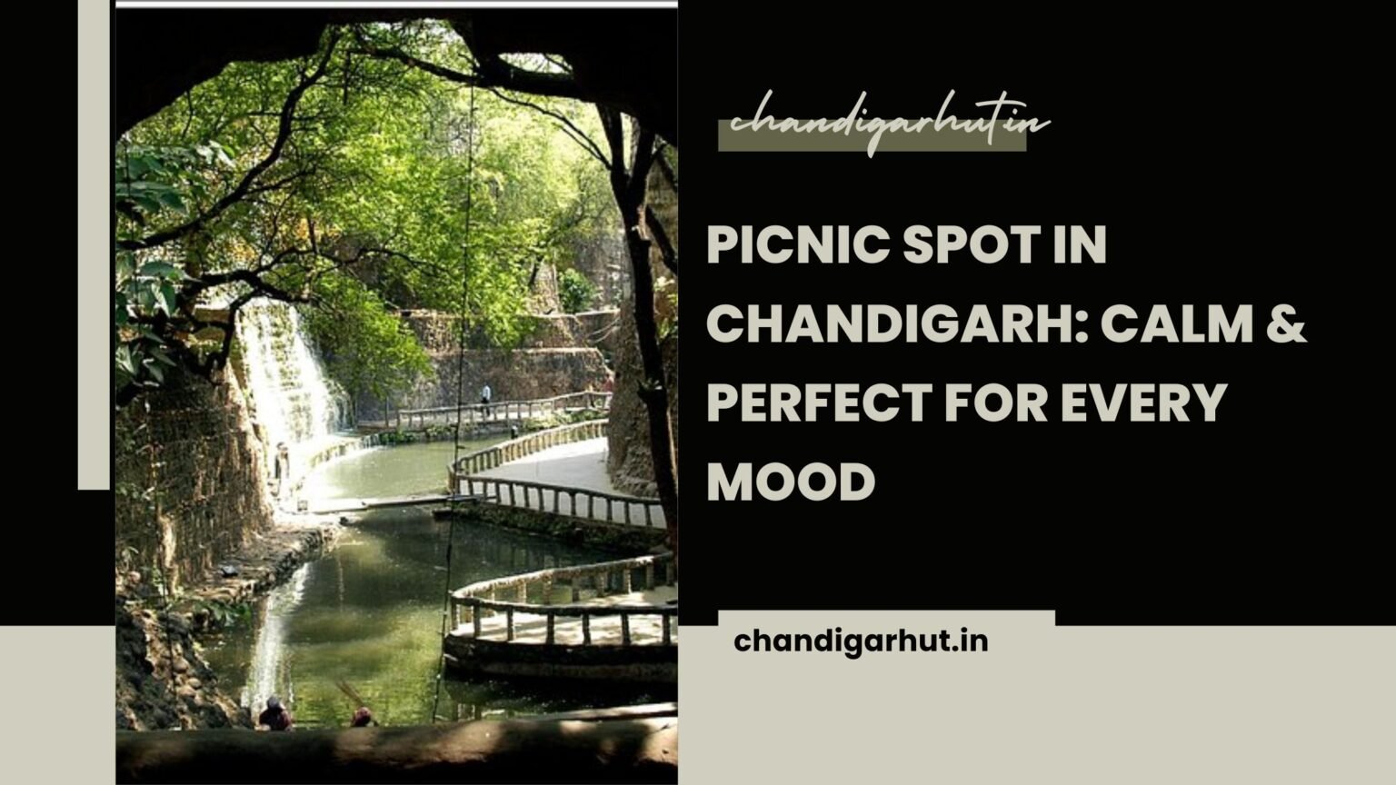 TuBu Cafe Chandigarh – The Forest-Themed Gem In The City