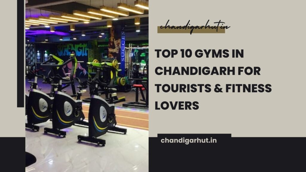 Top 10 Gyms In Chandigarh For Tourists & Fitness Lovers
