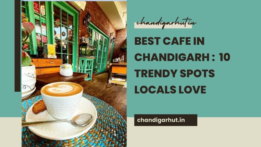 TuBu Cafe Chandigarh – The Forest-Themed Gem In The City