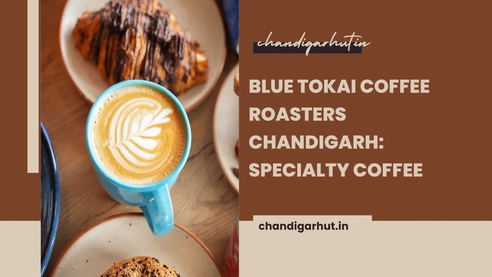 TuBu Cafe Chandigarh – The Forest-Themed Gem In The City