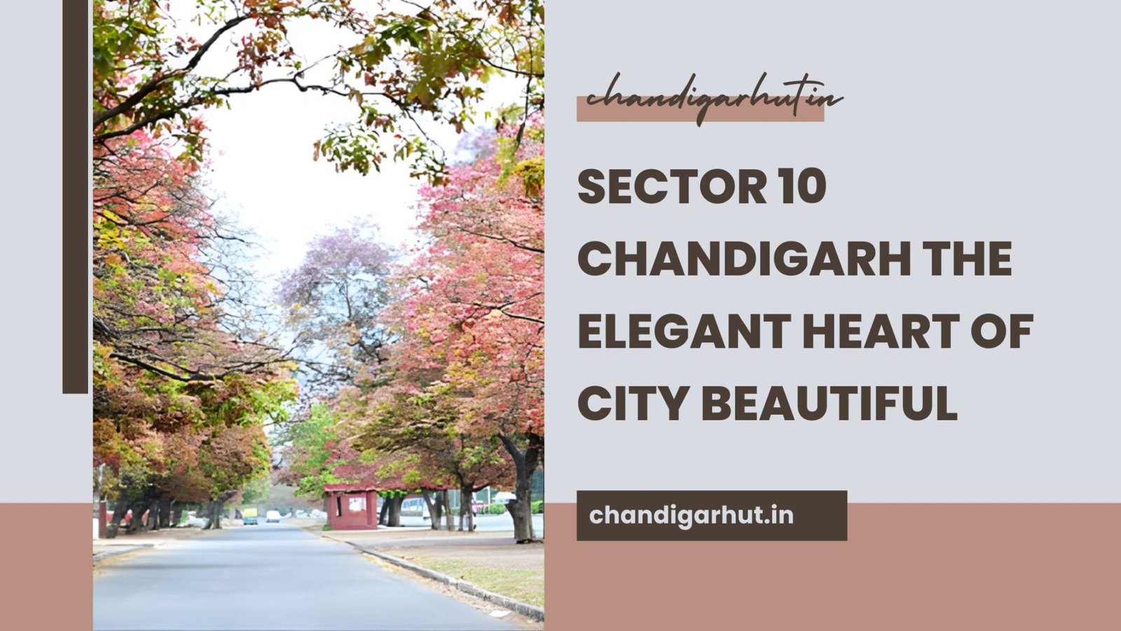 Chandigarh Map Guide: Explore City Sectors & Top Attractions