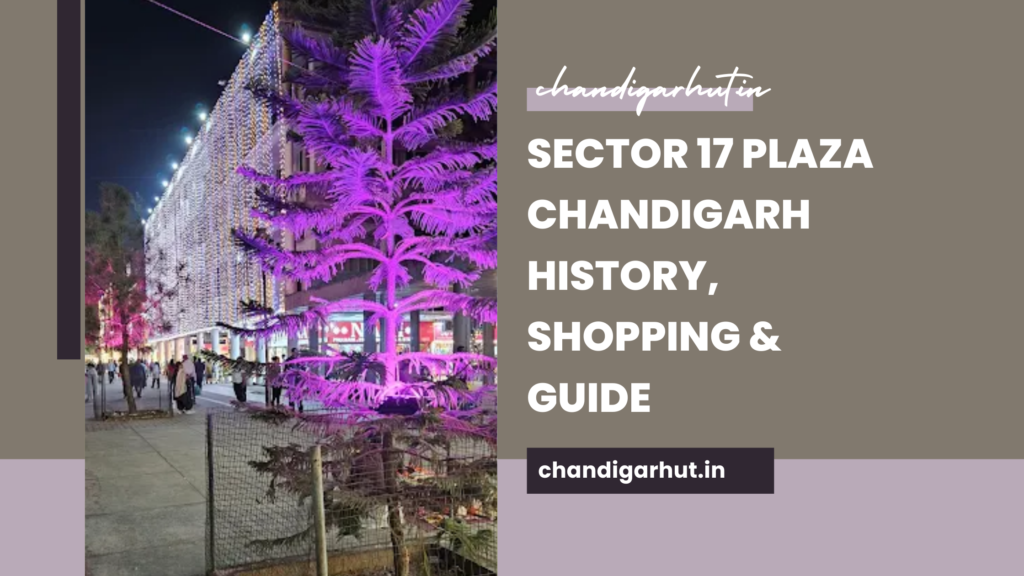 Chandigarh Map Guide: Explore City Sectors & Top Attractions